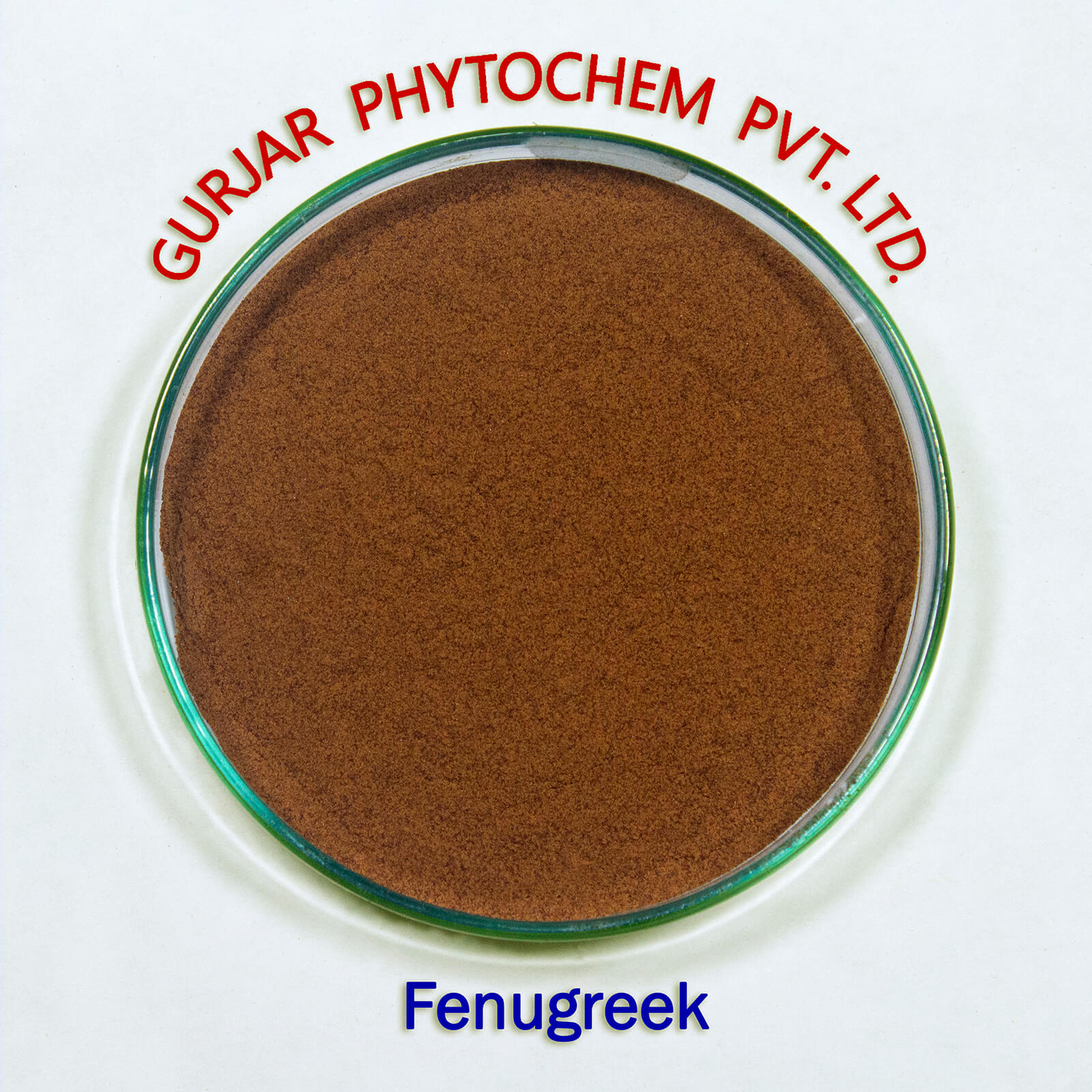 Manufacturer of Herbal Extracts, plant extract, Manufacturer of ...